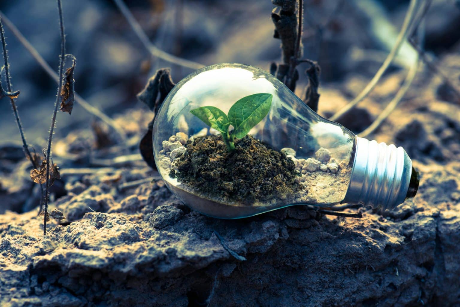 Bpifrance’s Green Guarantee: Essential Support for Businesses ...