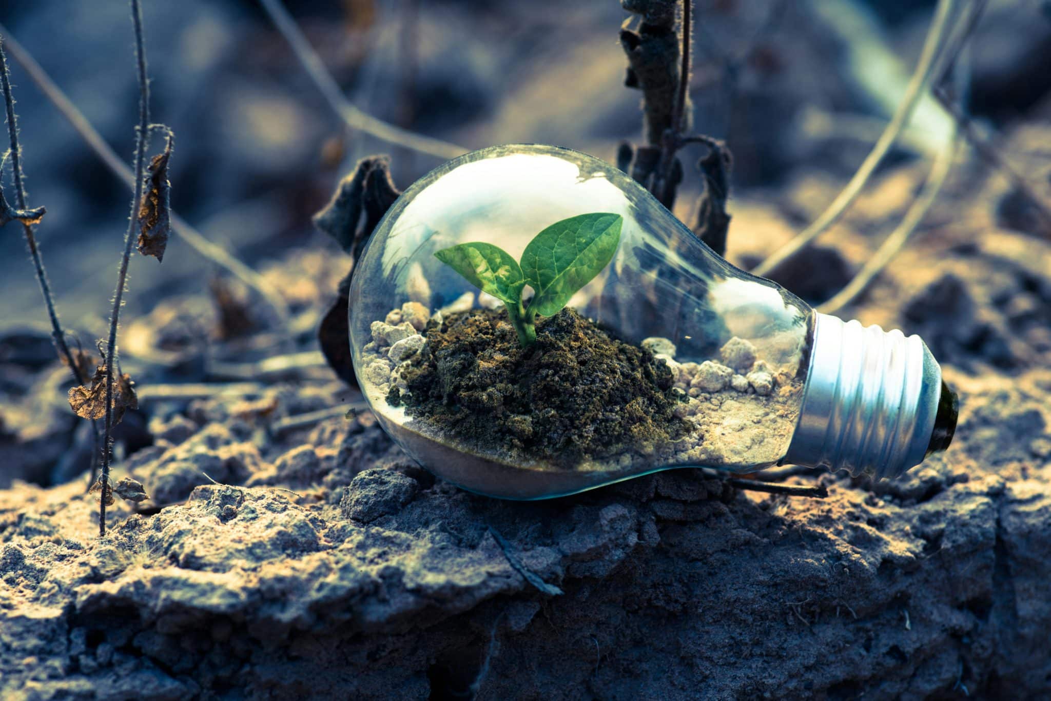 Bpifrance’s Green Guarantee: Essential Support for Businesses ...
